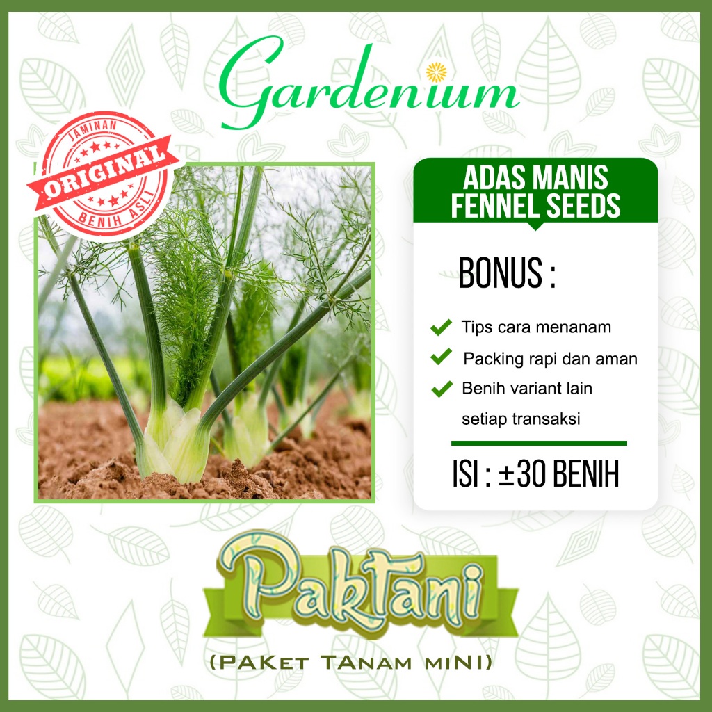 Jual 30 Benih Adas Manis Fennel Seeds Tanaman Sayuran Herbal Unggul ...