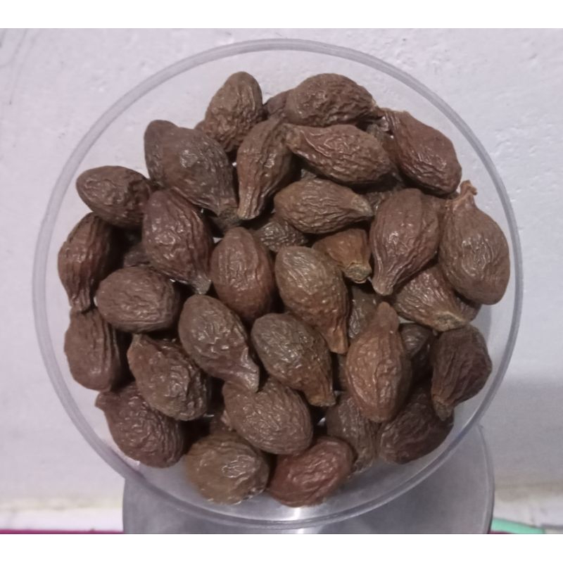 Jual Biji tempayang /kembang semangkok hutan jambi 2kg | Shopee Indonesia