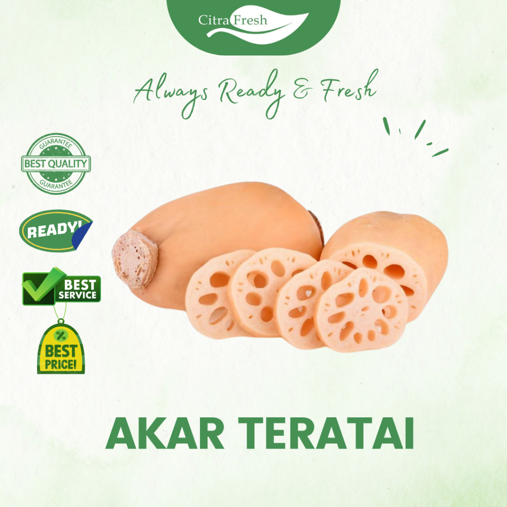 Jual CITRA FRESH - Akar Teratai Lotus 1 Kg - Selalu Ready dan Fresh ...