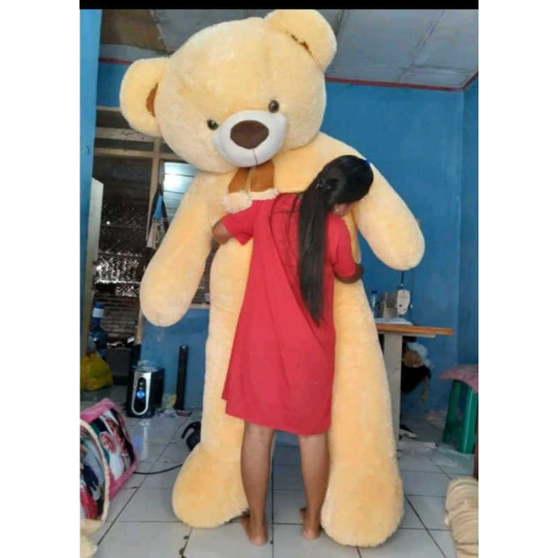 Jual Boneka Teddy Bear Super Jumbo 2 Meter SNI | Shopee Indonesia