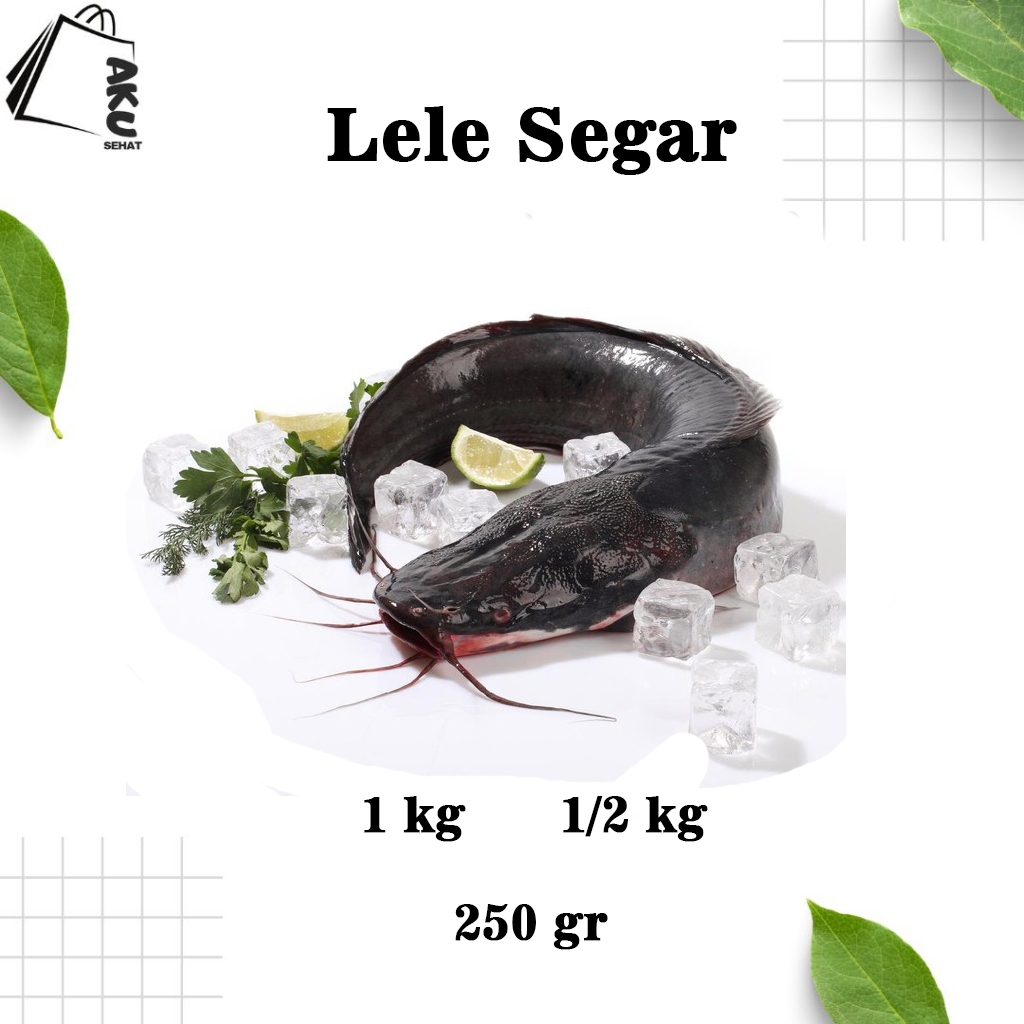 Jual Ikan Lele Segar Bersih Gurih / Lele segar / Lele bersih / Sidoarjo ...