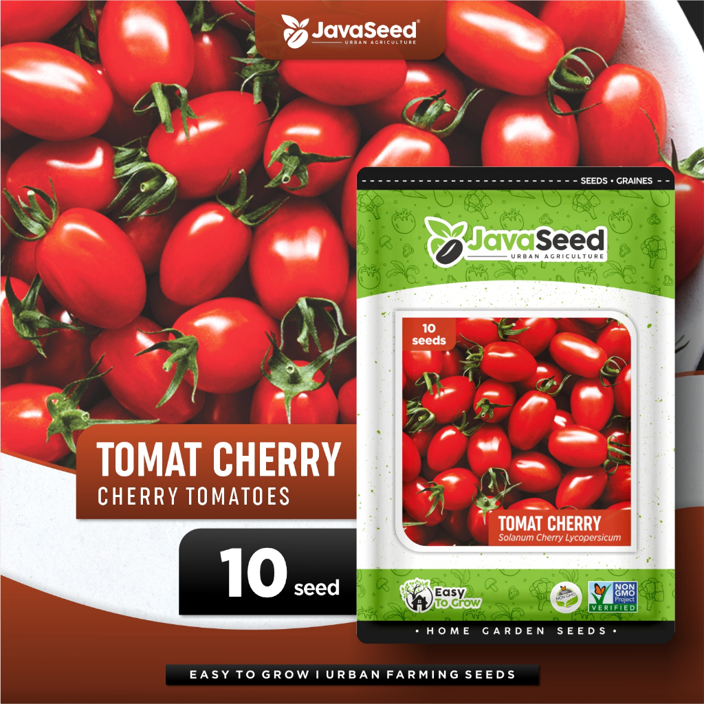 Jual JAVASEED - Benih Tomat Cherry Merah Mini Tomatoes Red Ruby 10 ...