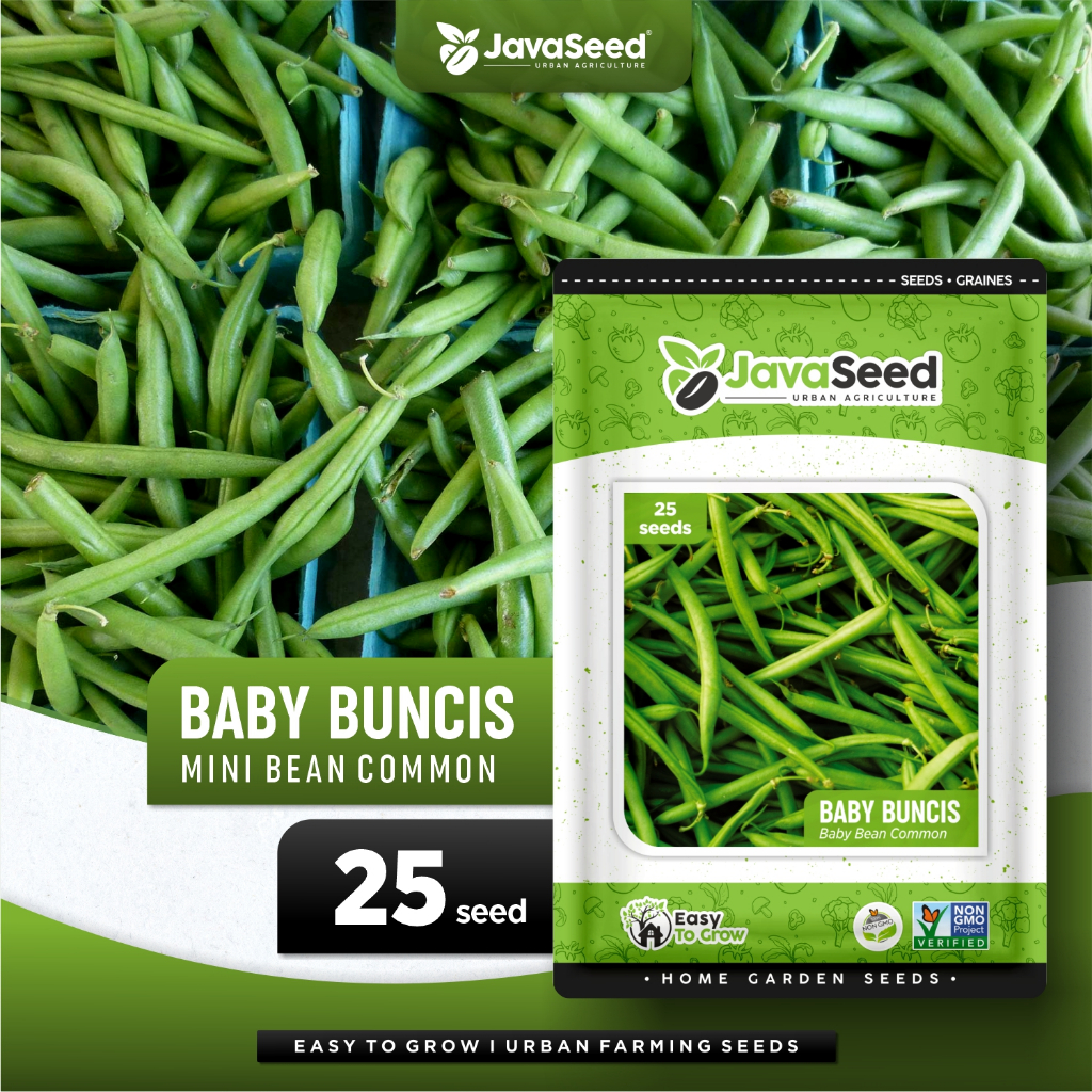Jual JAVASEED - Benih Baby Buncis Biji Putih Sweet Green Logawa 25 ...
