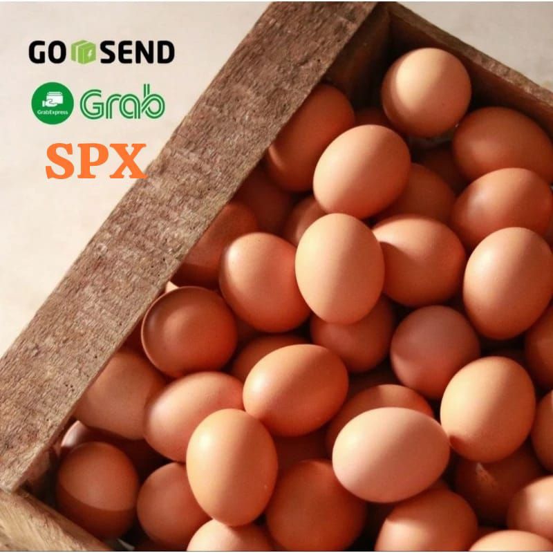 Jual Telur Ayam Negri Size Sedang Ukuran Pas Teman Indomie Telur Fresh ...