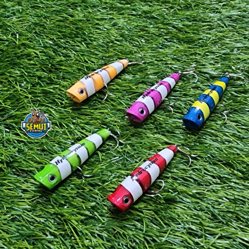 Jual UMPAN MINI POPPER WTD HYDROCYNUS FORTUNE 6.5CM 7GRAM | Shopee ...