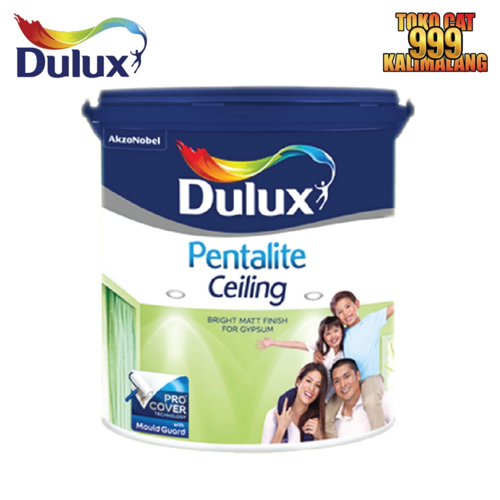 Jual Cat Plafon Rumah Interior Gypsum Dulux Pentalite Ceiling Putih 5 ...