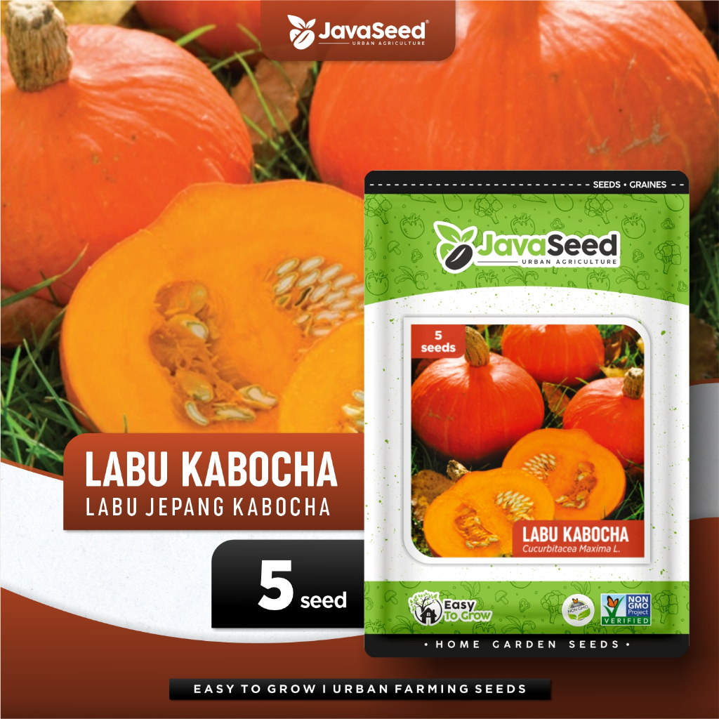 Jual JAVASEED - Benih Labu Jepang Kabocha Orange Golden Mama F1 5 Benih ...