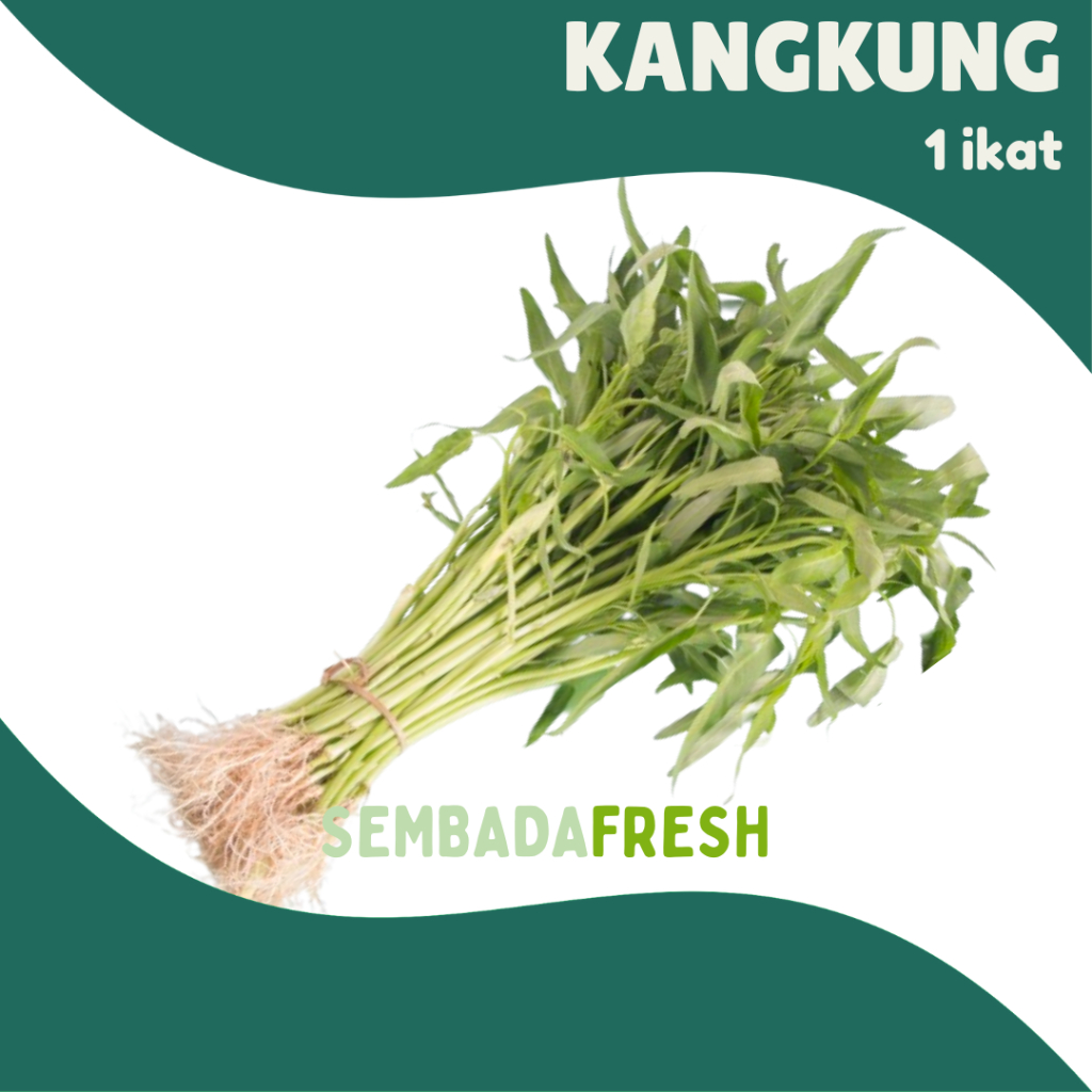 Jual Kangkung 1 ikat - SEMBADA FRESH [Pengiriman Instant] | Shopee ...