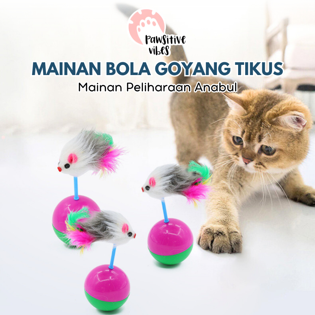 Jual Mainan Bola Plastik Tikus Goyang - Mainan Bola Goyang Hewan Peliharaan - Mainan Peliharaan ...