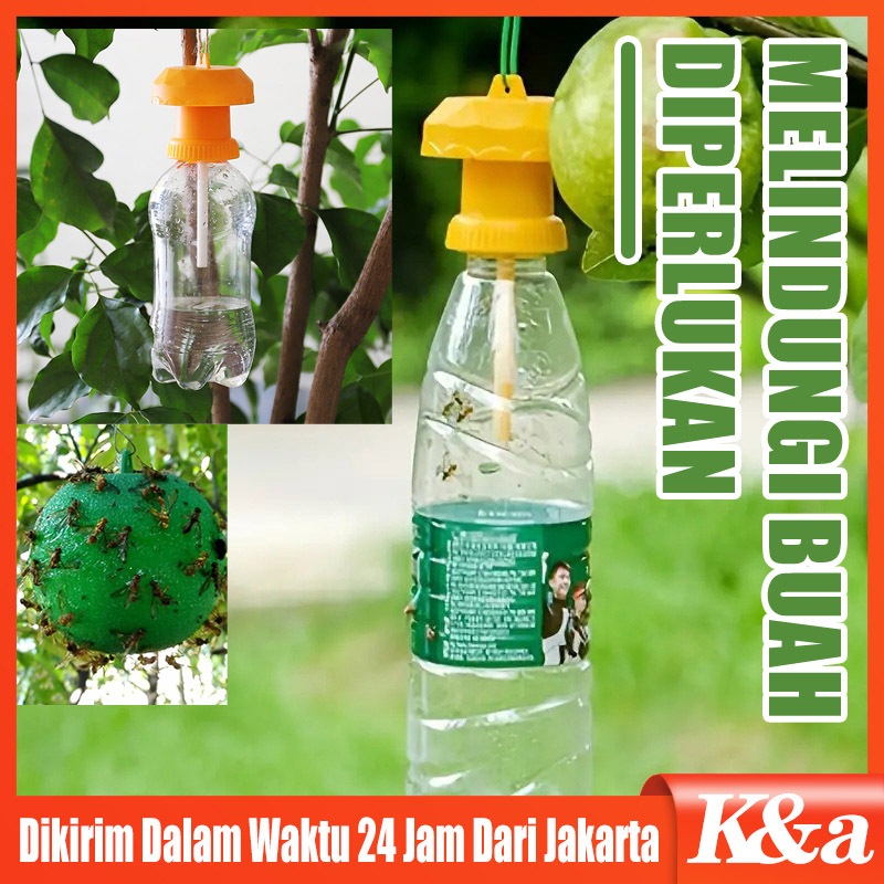 Jual Perangkap Lalat Buah Drosophila Bahan Plastik Warna Kuning Ukuran ...