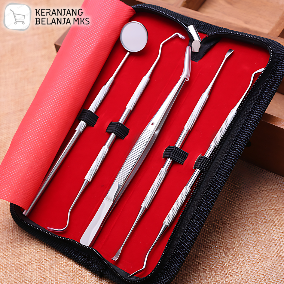 Jual Alat Perawatan Gigi / Peralatan Dokter Gigi Dental Care 5 in 1 ...
