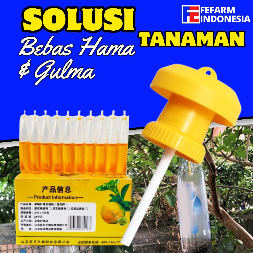 Jual Perangkap Lalat Buah Drosophila Bahan Plastik Warna Kuning 6x6x2CM ...