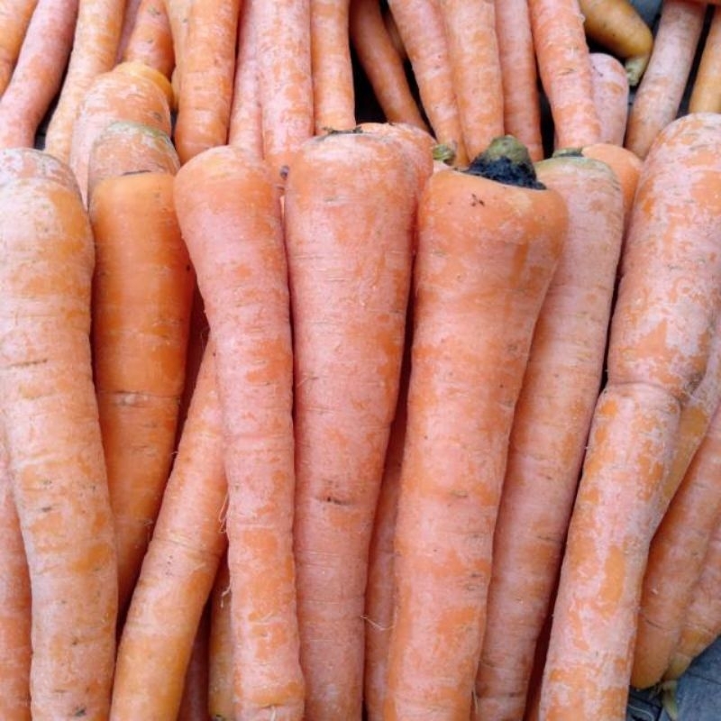 Jual wortel local/local carrots berat 1kg | Shopee Indonesia