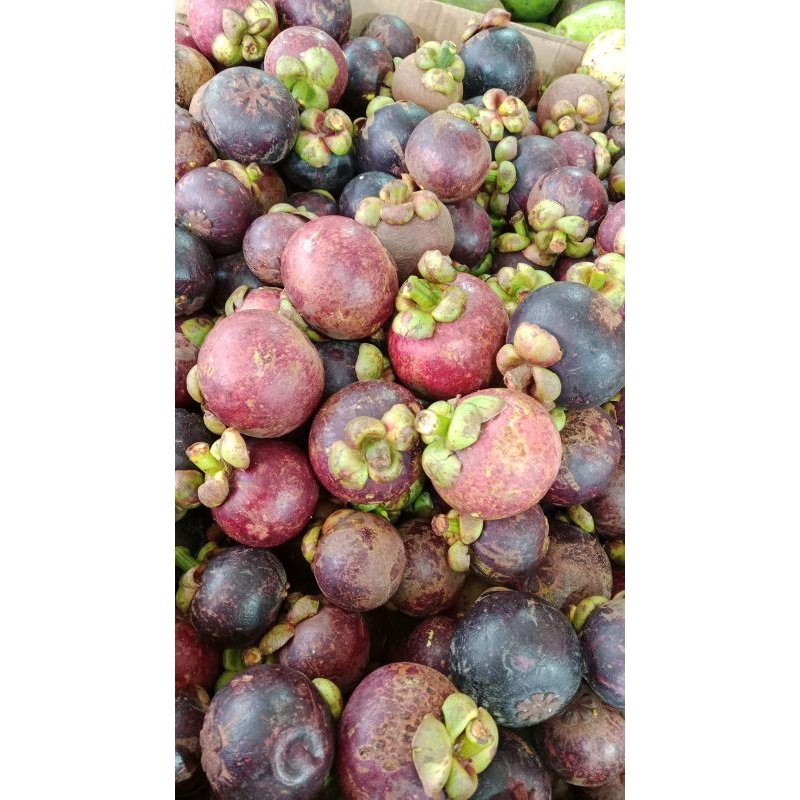 Jual Manggis 1kg | Shopee Indonesia