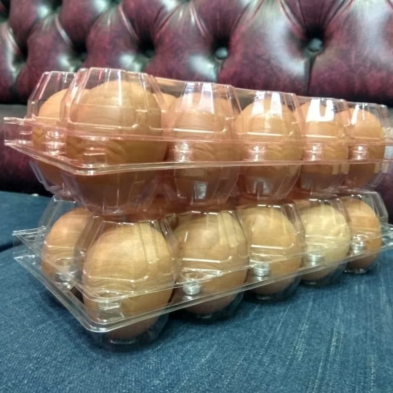 Jual HS Mika Telur / Egg Tray / Tray Telur Isi 10 Butir Sudah ada ...