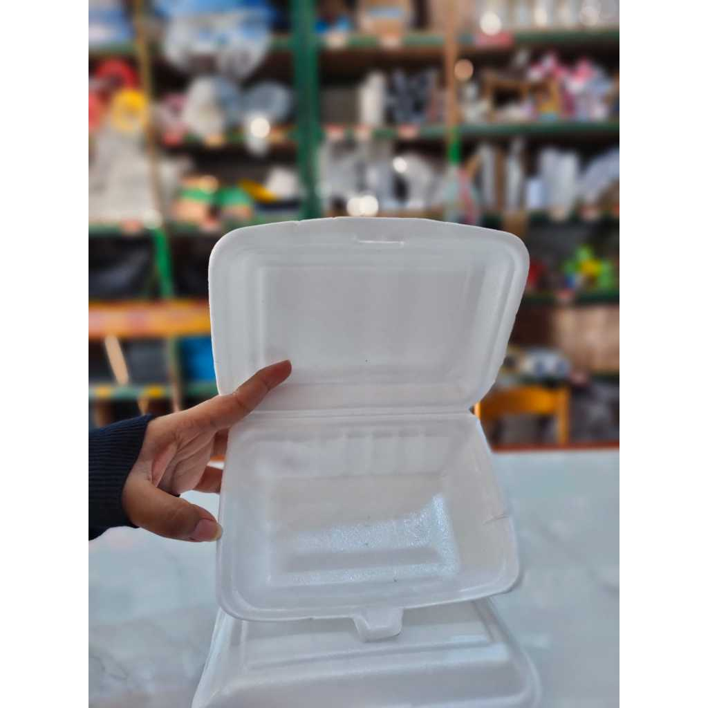 Jual Styrofoam Ukuran Kecil / Sterofoam tanpa sekat / Gabus bubur ...