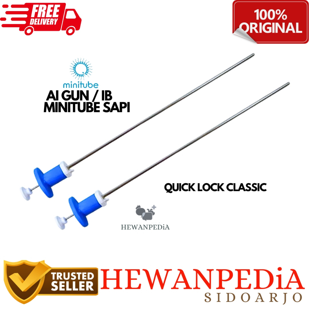 Jual AI GUN IB MINITUBE SAPI KAMBING DOMBA hewanpedia - Alat Suntik Inseminasi Buatan Artificial ...