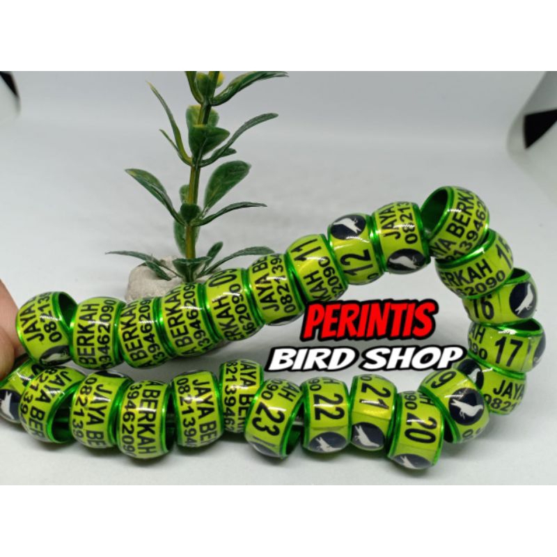 Jual RING BURUNG MERPATI DEWASA 9 MM WARNA HIJAU STABILO LIS HIJAU TUA ...
