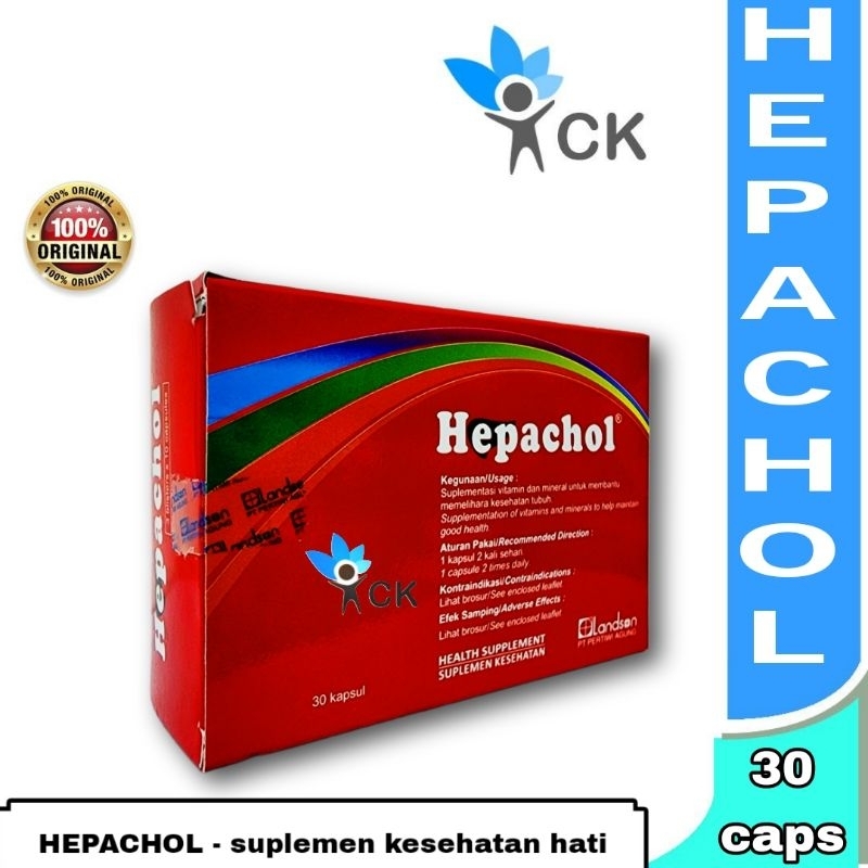 Jual HEPACHOL BOX ISI 30 suplemen kesehatan hati | Shopee Indonesia