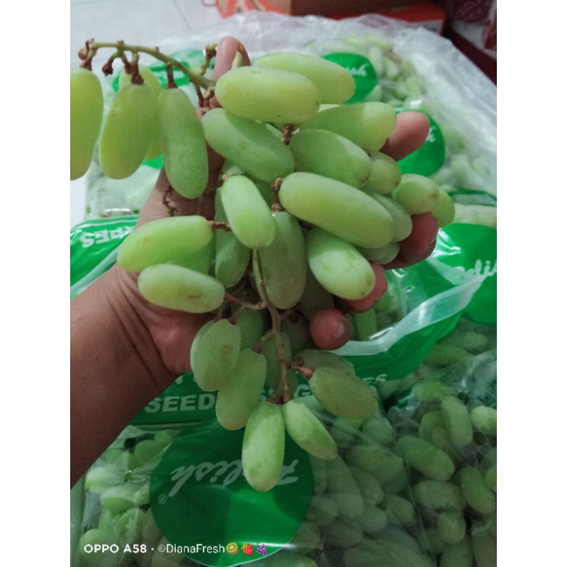 Jual Anggur Jari Hijau/only jatim | Shopee Indonesia