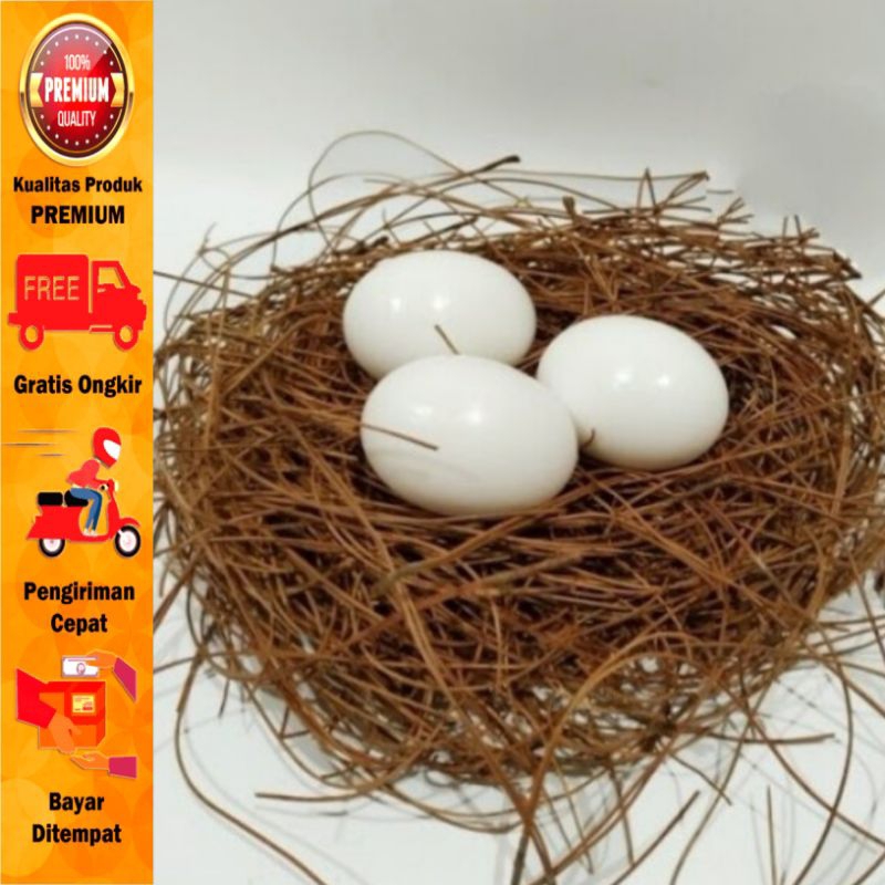 Jual telur merpati pengganti mirip asli berat padat telur dami telur ...