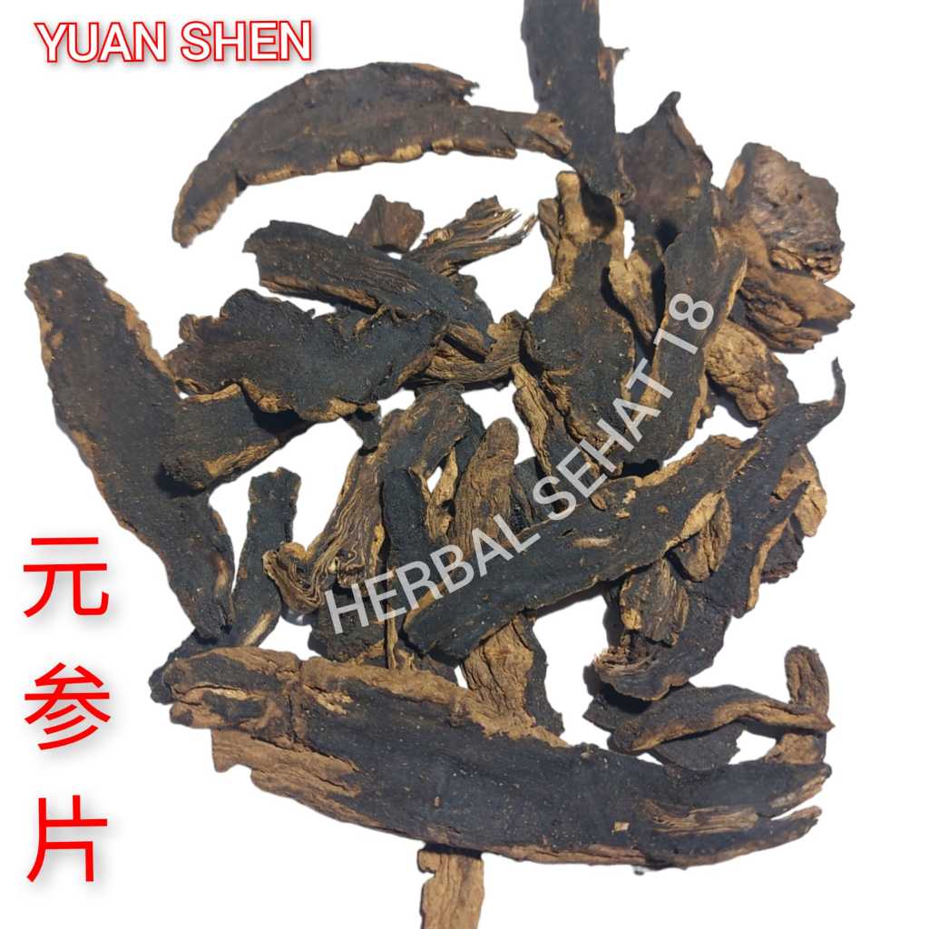 Jual Yuan Shen - Yuan Sem / Xuan Shen / Yen Sem Sen / Radix ...
