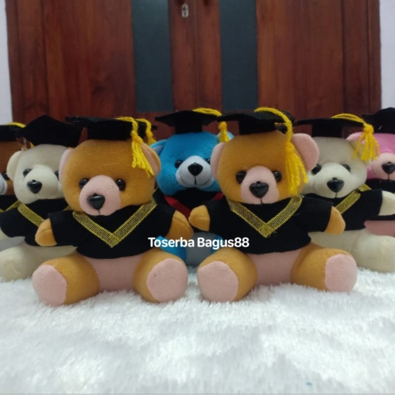 Jual Boneka Bear Toga Wisuda Boneka Untuk Buket 12 cm | Shopee Indonesia