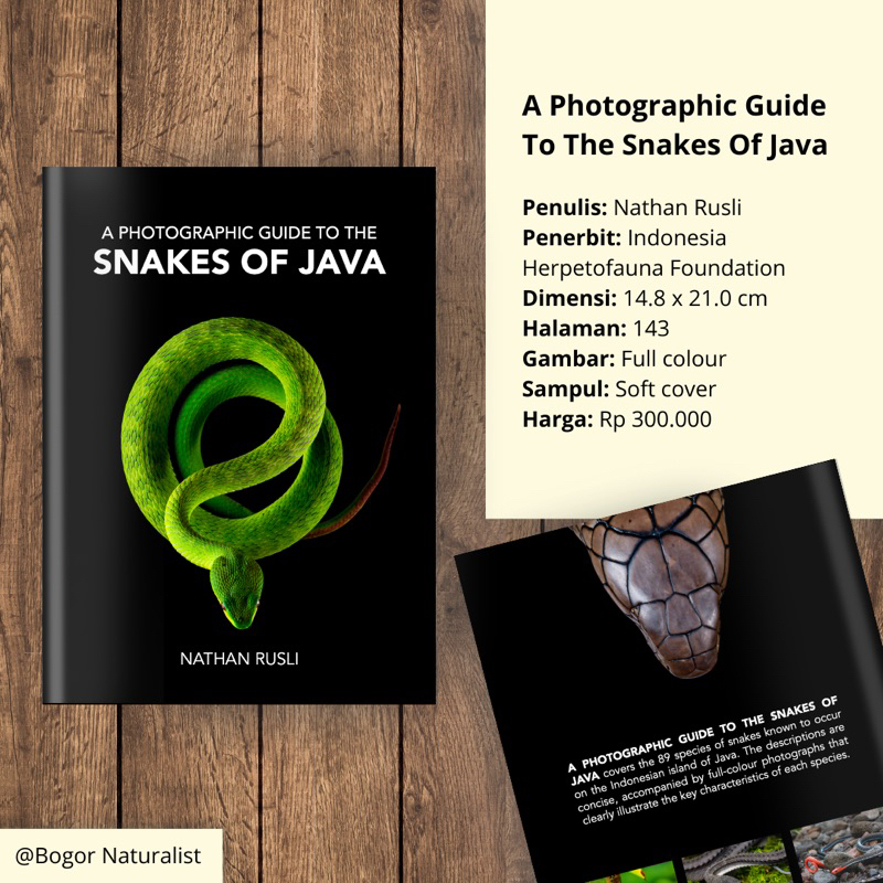 Jual Snakes of Java - A Photographic Guide to the Snakes of Java ...