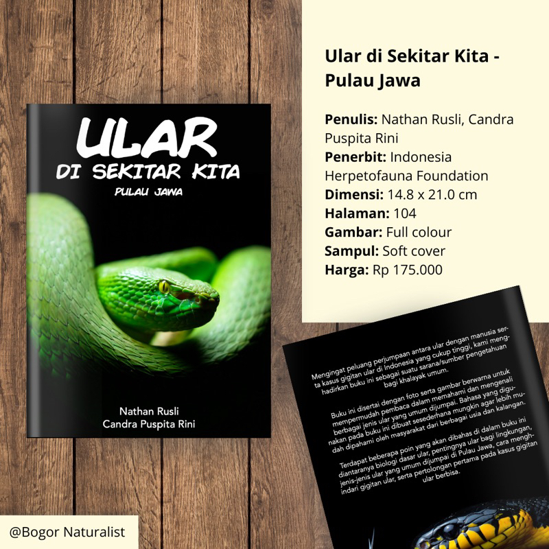 Jual Buku Ular di Sekitar Kita - Edisi Ular Jawa | Shopee Indonesia