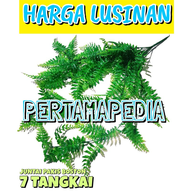 Jual HARGA LUSINAN ISI 12 PCS JUNTAI PAKIS BOSTON/ Bunga Plastik/ Daun ...