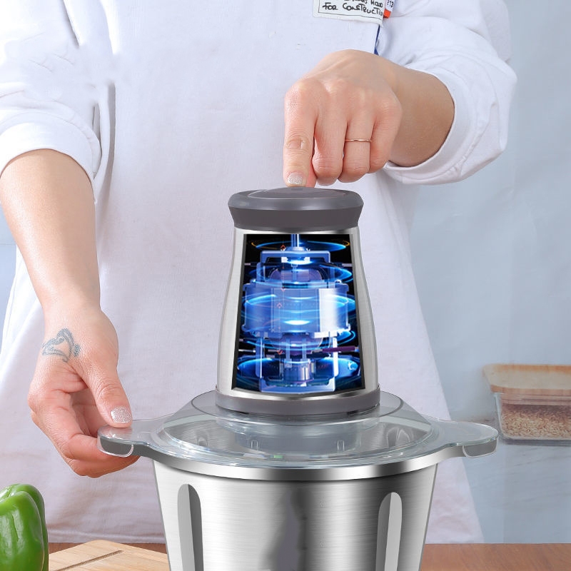 Jual Electric Meat Grinding Machine Household Stainless Steel Kitchen ...