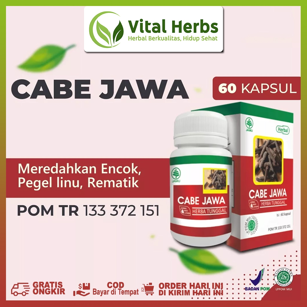 Jual Vital Herbs - Cabe Jawa Obat Herbal Nyeri Sendi Pegal Linu ...