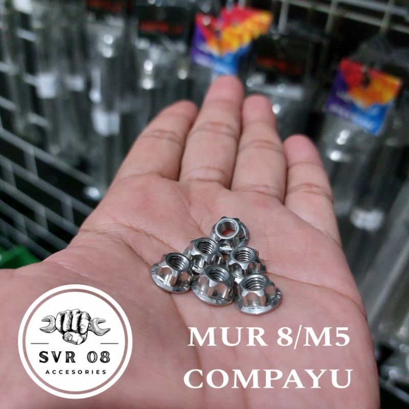 Jual mur probolt stainless new model mur 8/m5 compayu thailand | Shopee ...