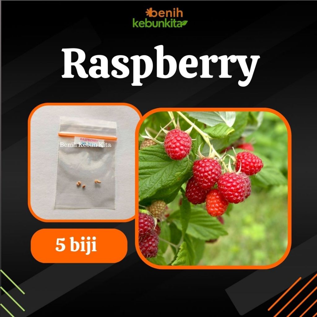 Jual Benih/Bibit/Biji/Seed Buah Raspberry | Shopee Indonesia