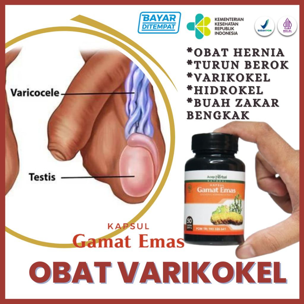 Jual Obat Varikokel Hernia Turun Berok Pria Buah Zakar Bengkak Untuk ...