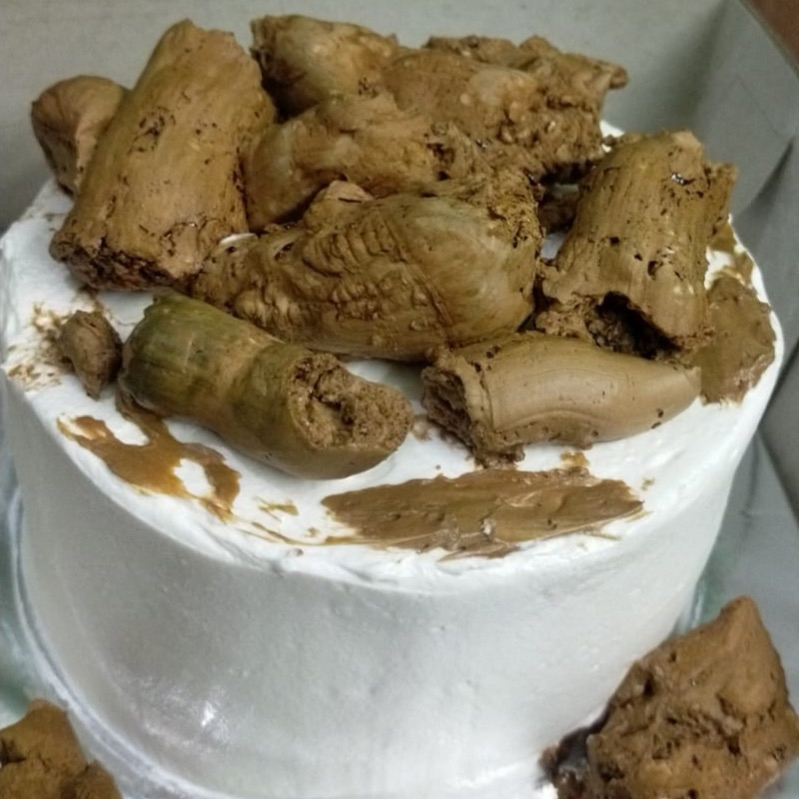 Jual [BISA DADAKAN] CAKE POOP/KUE TAI | Shopee Indonesia