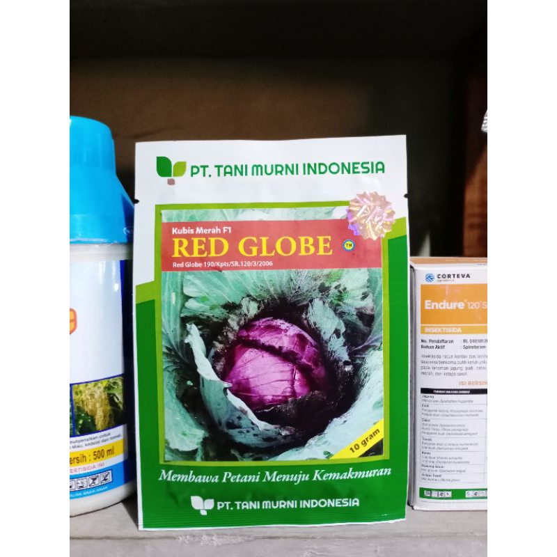 Jual benih kubis merah red globe tani maurni Indonesia kemasan 10 gram ...