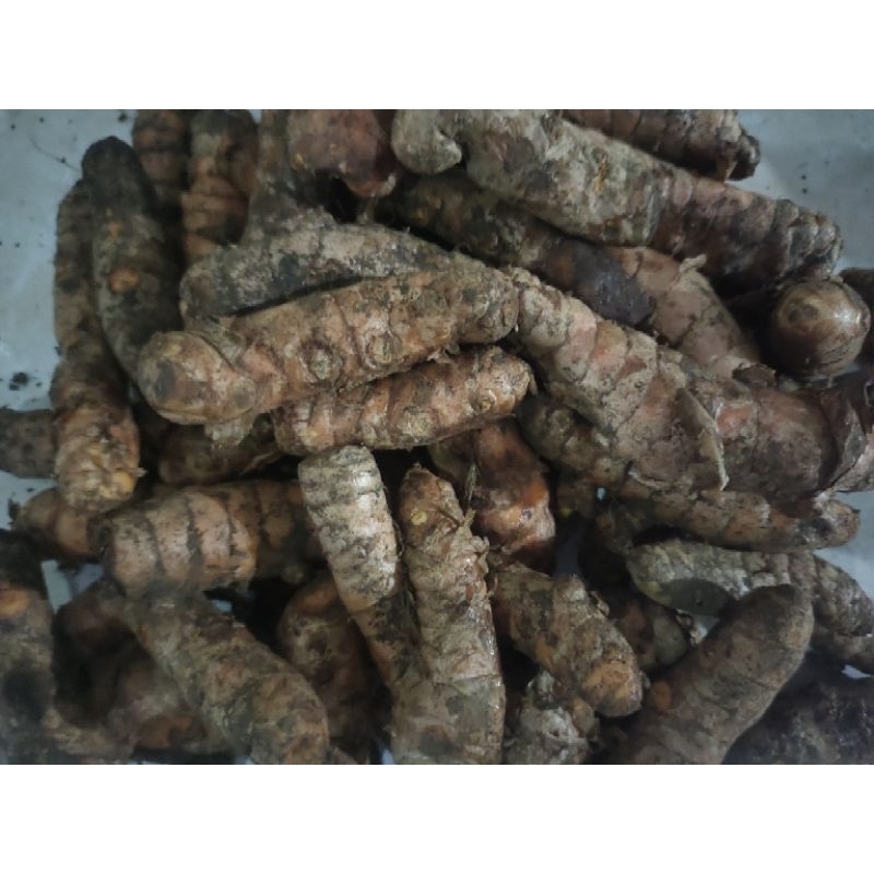 Jual KUNIR / KUNYIT 500 GRAM | Shopee Indonesia