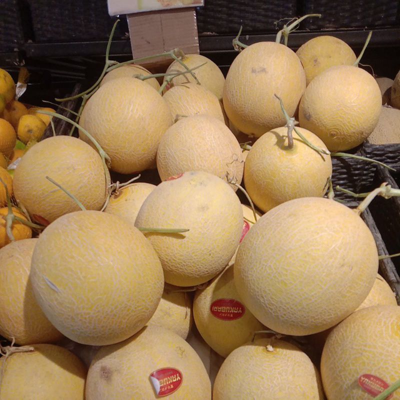Jual MELON INTHANON 1,5-2kg | Shopee Indonesia