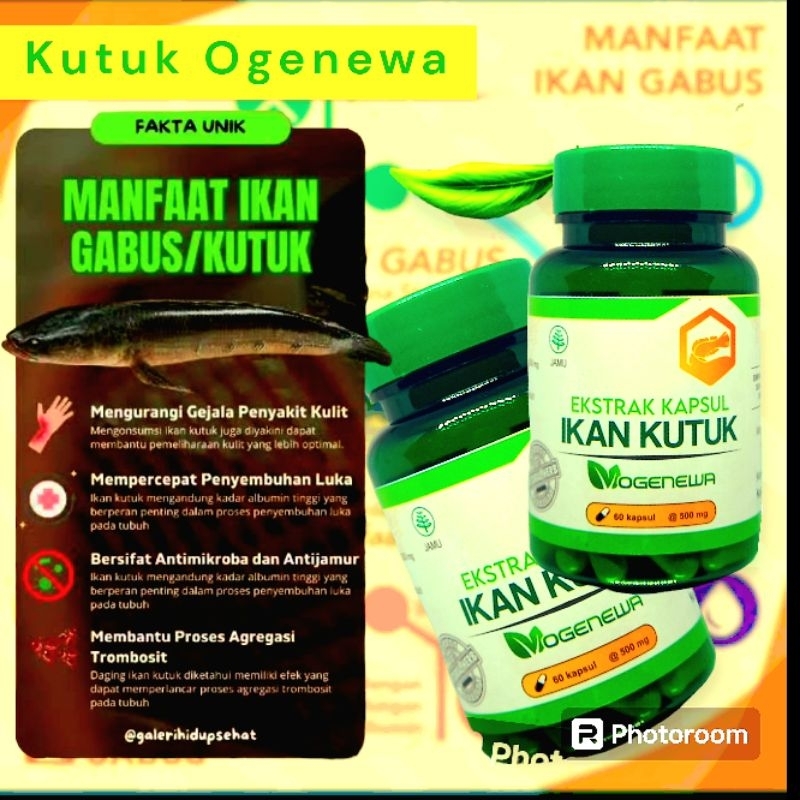 Jual Kapsul ikan Gabus Pro Albumin Kapsul Ikan Kutuk Original | Shopee ...