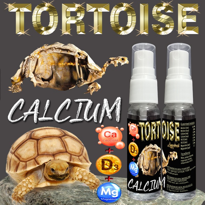 Jual TORTOISE KALSIUM CAIR +D3 CALCIUM LIQUID VITAMIN SUPLEMEN ...