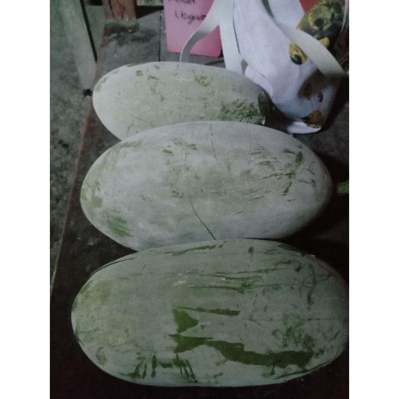 Jual Buah Bligo atau Kundur untuk Ginjal | Shopee Indonesia