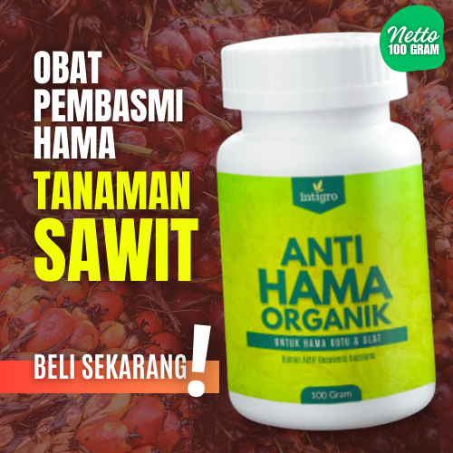Jual Pengendali Hama Kumbang Tanduk Pada Kelapa dan Kelapa Sawit Obat ...