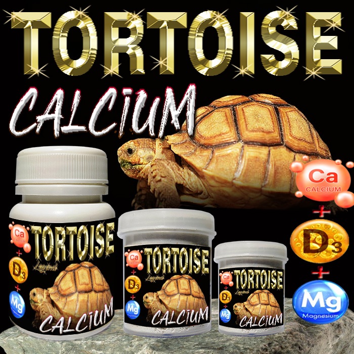 Jual TORTOISE KALSIUM BUBUK +D3 CALCIUM POWDER REPTILE SUPLEMEN ...