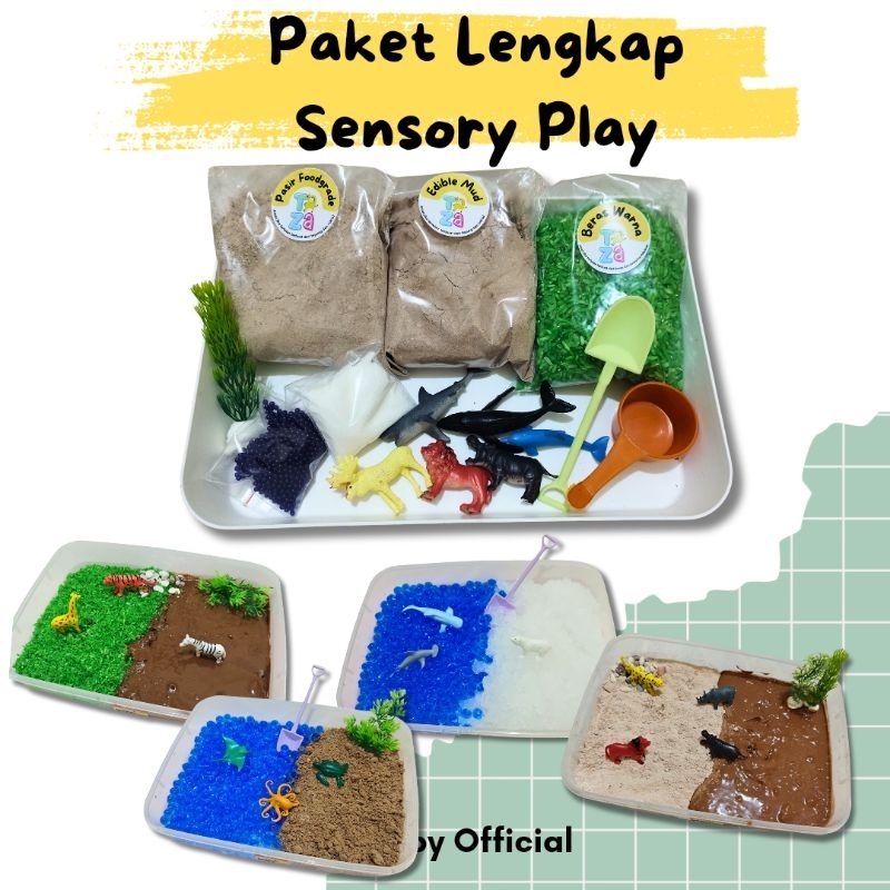 Jual Lengkap-Paket Sensory Play / Paket Messy Play / Paket Bermain ...