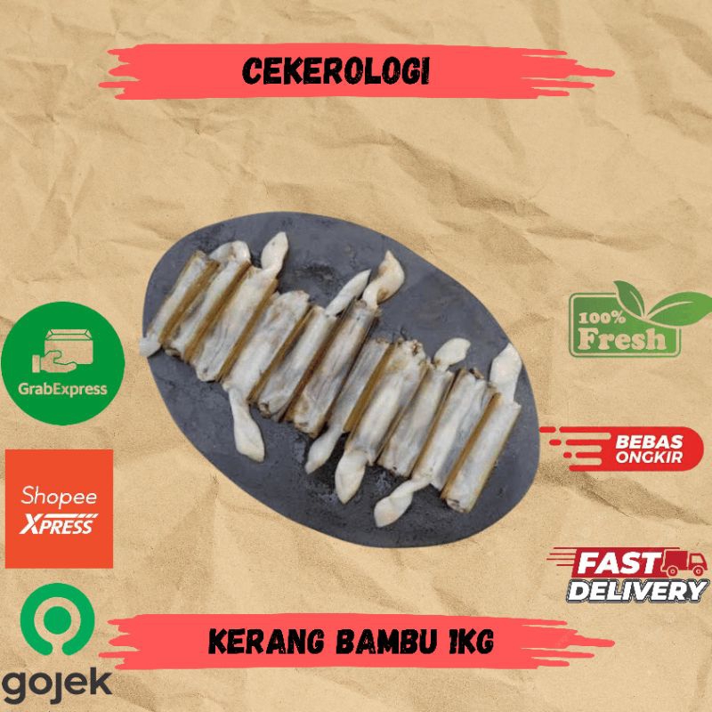 Jual Kerang Bambu 1kg / Kerang Bambu / Kerang / Kerang Bambu Fresh ...