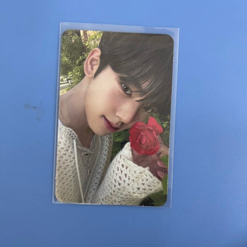 Jual BACA DESC! zerobaseone zb1 han yujin photocard pc poca makestar pob youth in the shade ...