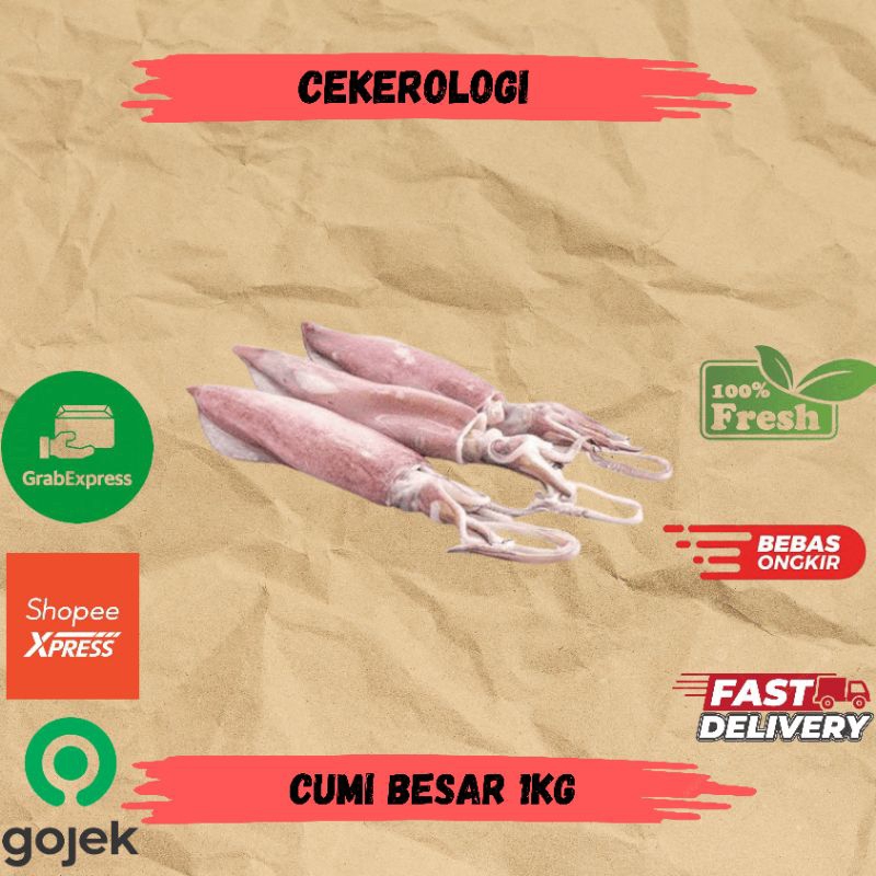 Jual Cumi Besar 1kg / Cumi / Cumi Besar Fresh Berkualitas / JABODETABEK ...