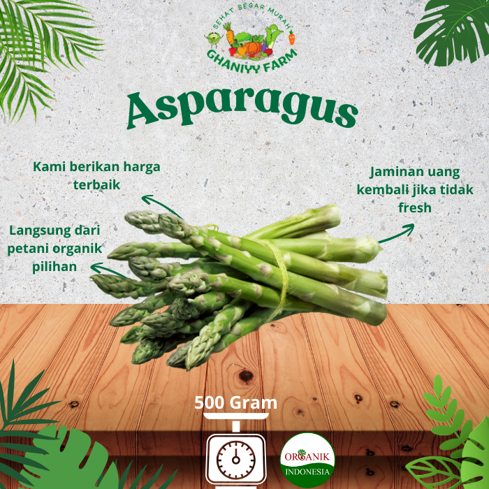 Jual Sayur Organik Asparagus Organik 500 Gram | Shopee Indonesia