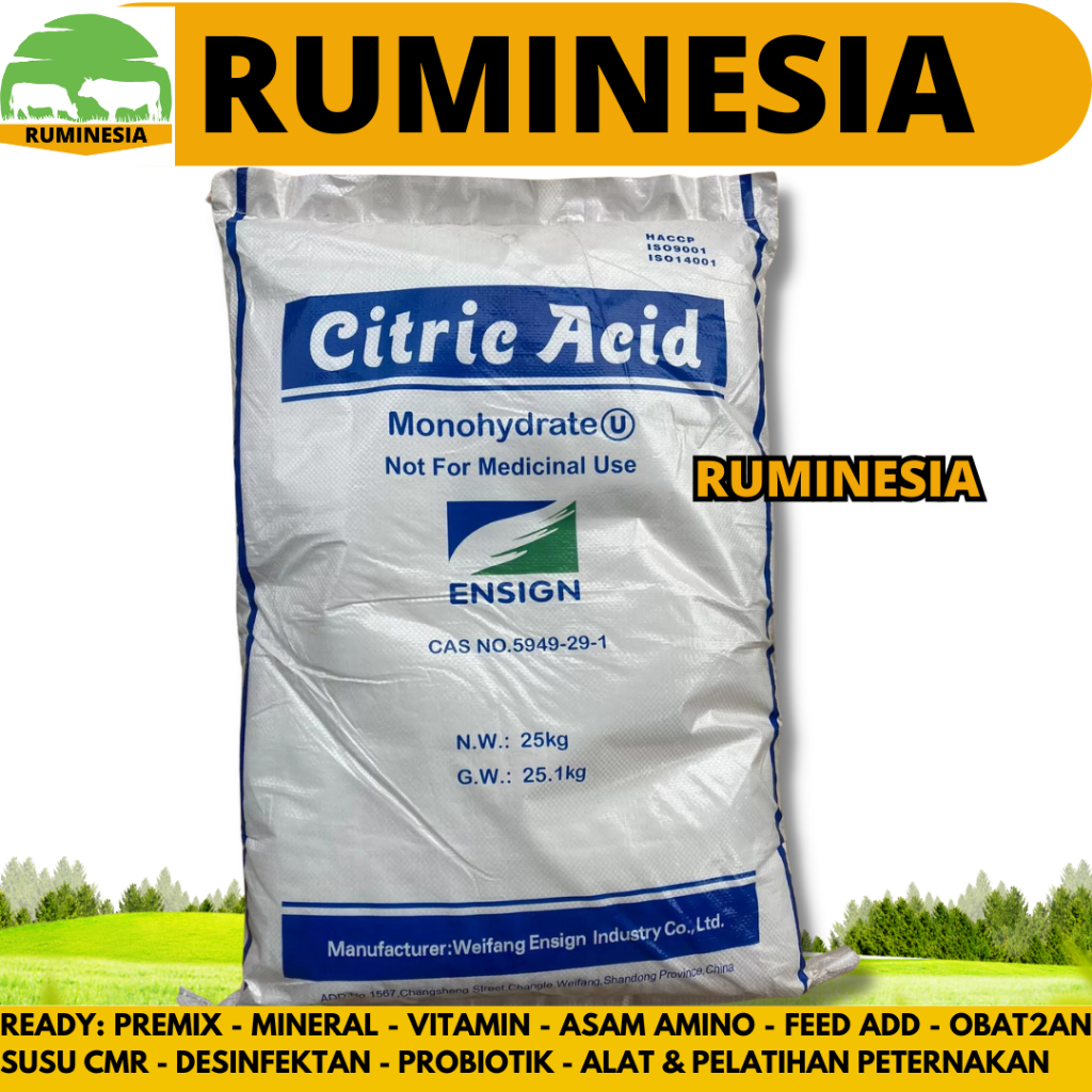 Jual CITRIC ACID 1 SAK 25 KG - FOOD GRADE - Sitrun - Citrun - Sitrat ...